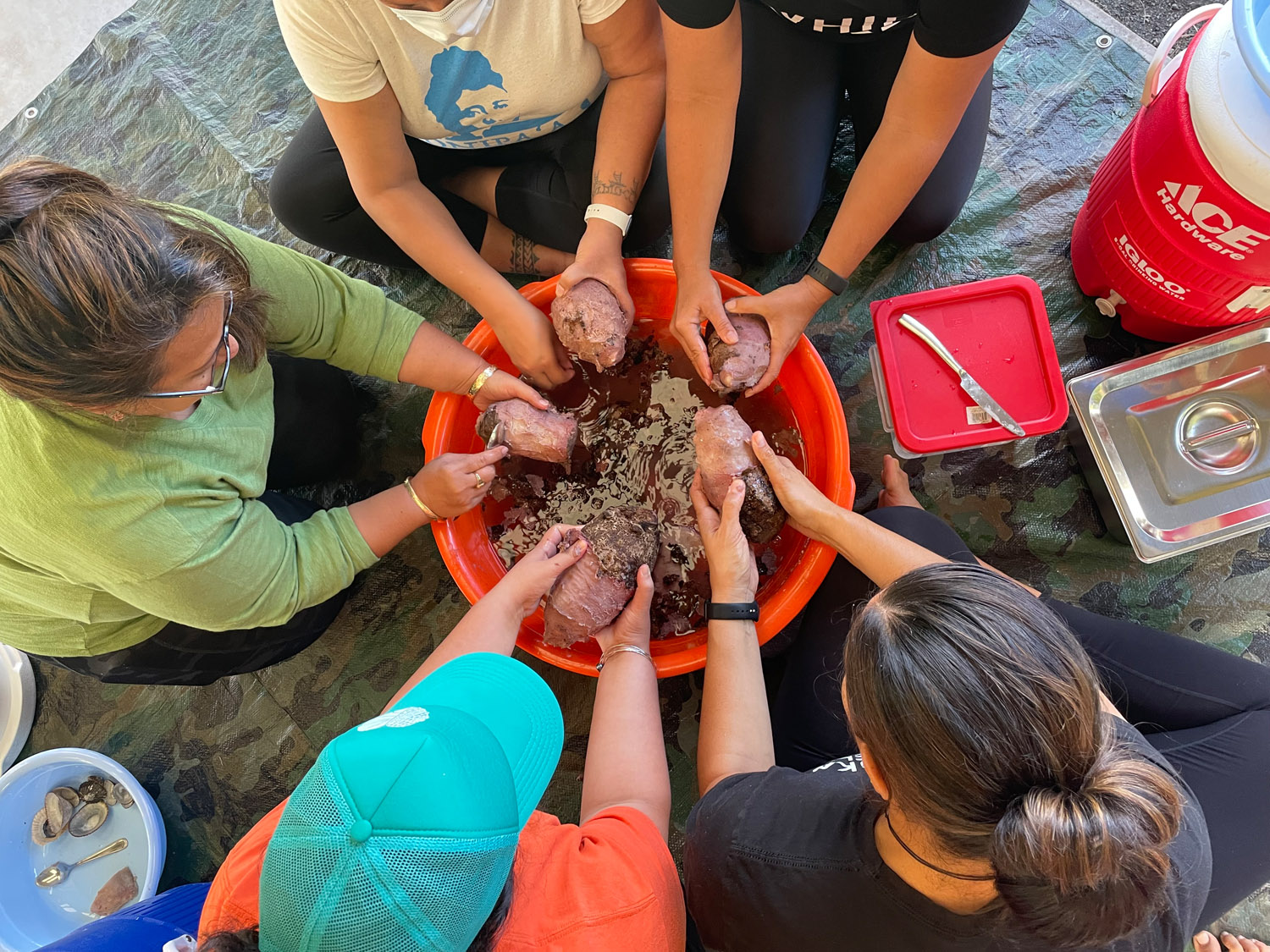 Hui Ho’oleimaluō - Hawai'i People's Fund