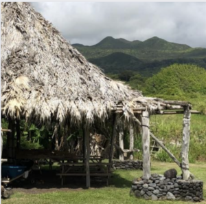 Hōlani Hāna - Hawai'i People's Fund